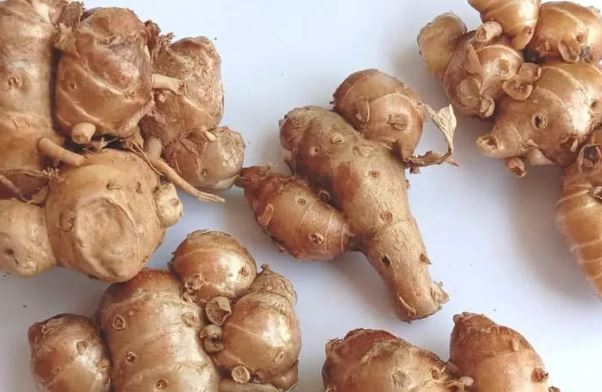 5 Manfaat Cikur Bagi Bumbu Masakan, Namun ada yang perlu dicatat ...